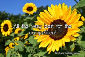 111 Best Good Luck Messages, Wishes, Quotes (2024)