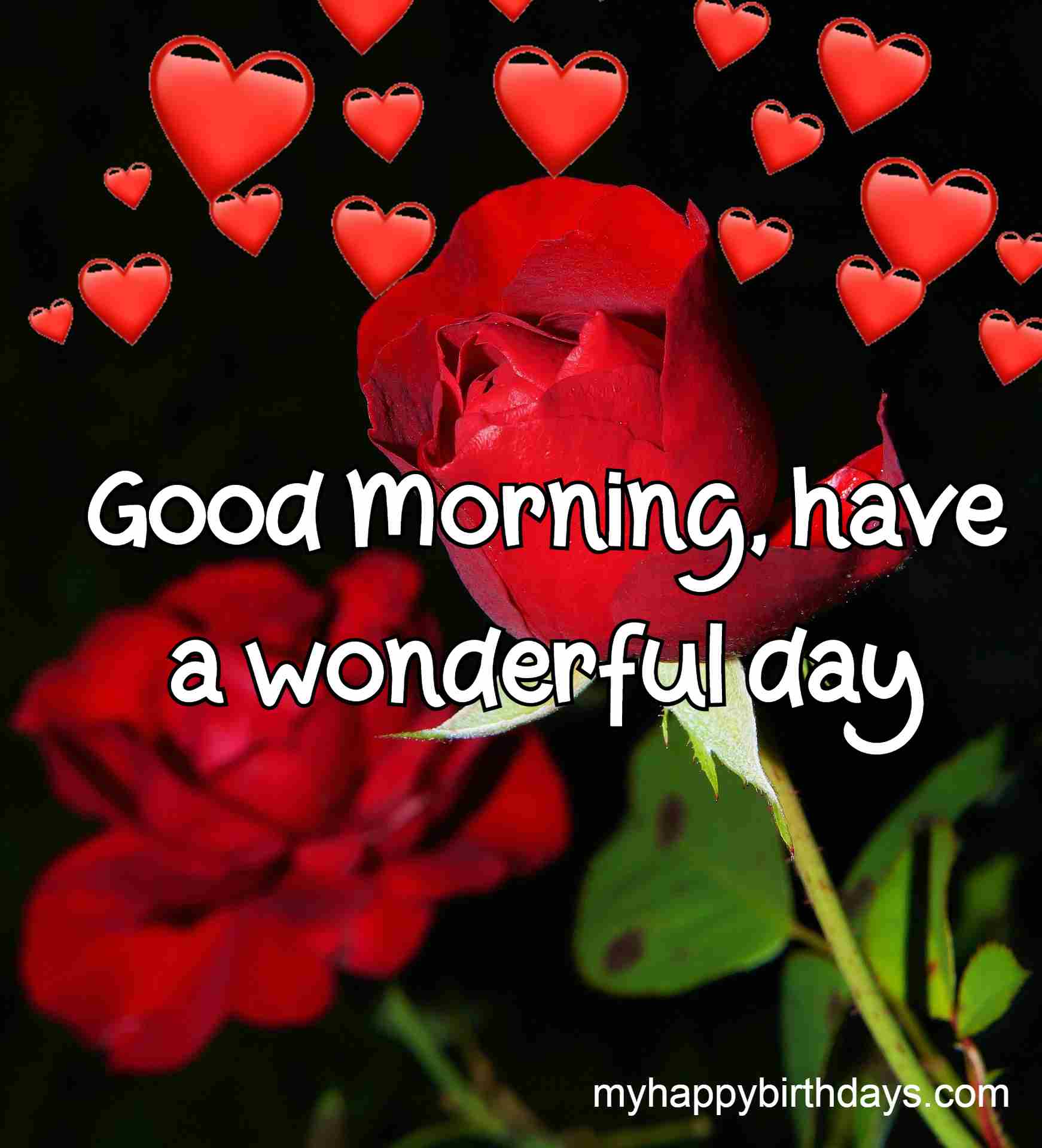 200+ Romantic Good Morning Wishes With Roses, Flowers (HD)