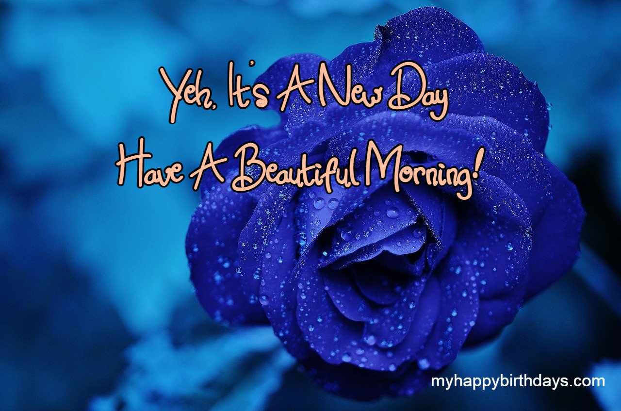 200+ Romantic Good Morning Wishes With Roses, Flowers (HD)