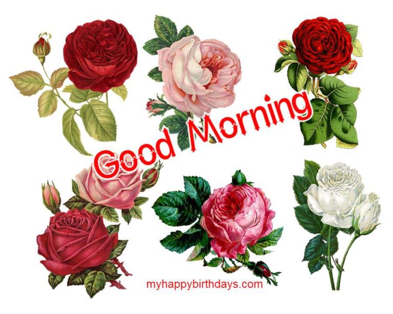 200+ Romantic Good Morning Wishes With Roses, Flowers (HD)