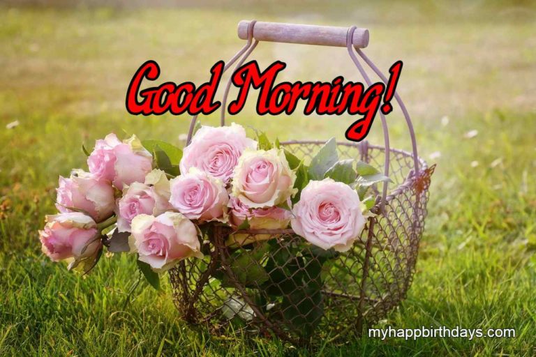 200+ Romantic Good Morning Wishes With Roses, Flowers (HD)