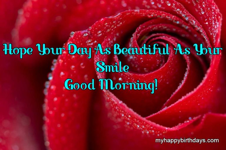 200+ Romantic Good Morning Wishes With Roses, Flowers (HD)