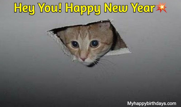 75 Top Hilarious Funny Happy New Year Memes For 2026