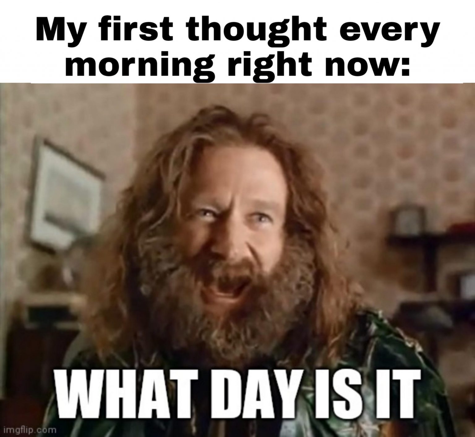 120 Funny Tuesday Memes To Make Your Loved Ones Laugh