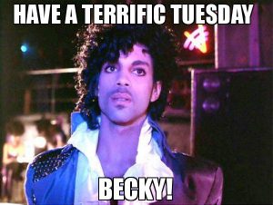 120 Funny Tuesday Memes To Make Your Loved Ones Laugh