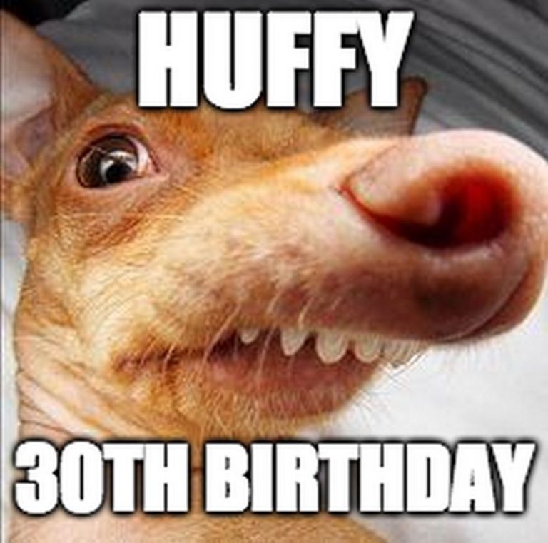103 Funny Happy 30th Birthday Meme For Mature People