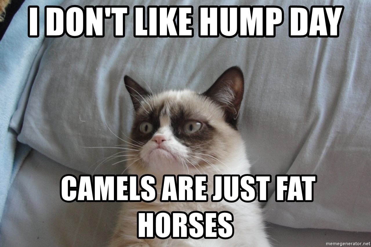 111 Awsome Hillarious Funny Wednesday Memes Of All Time