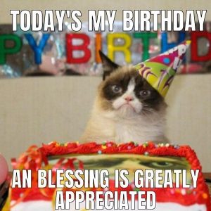 105 Funny Happy Birthday Cat Memes to Make Your Special Day Laughable