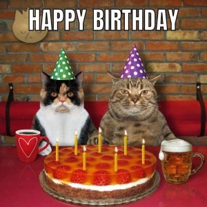 105 Funny Happy Birthday Cat Memes to Make Your Special Day Laughable
