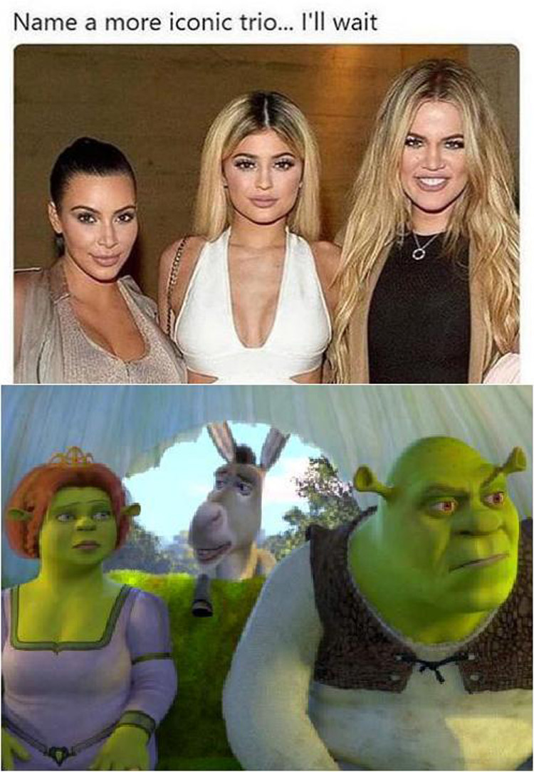 85 Top Funny Shrek Memes That Became Viral
