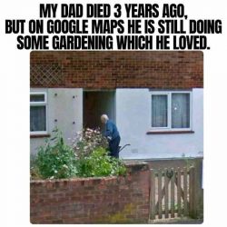 65 Happy Memes About Life To Enjoy Every Moment