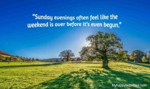 60+ Best End Of The Weekend Quotes - Weekend End Quotes