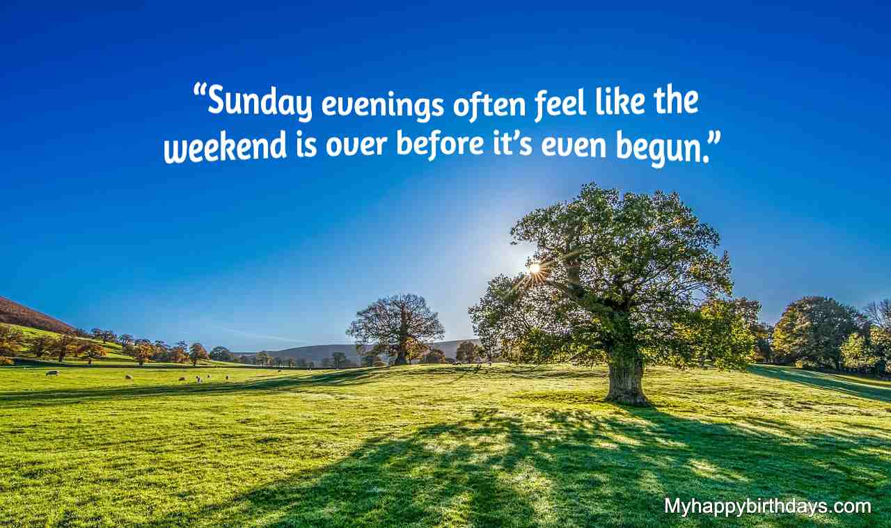 60+ Best End Of The Weekend Quotes - Weekend End Quotes