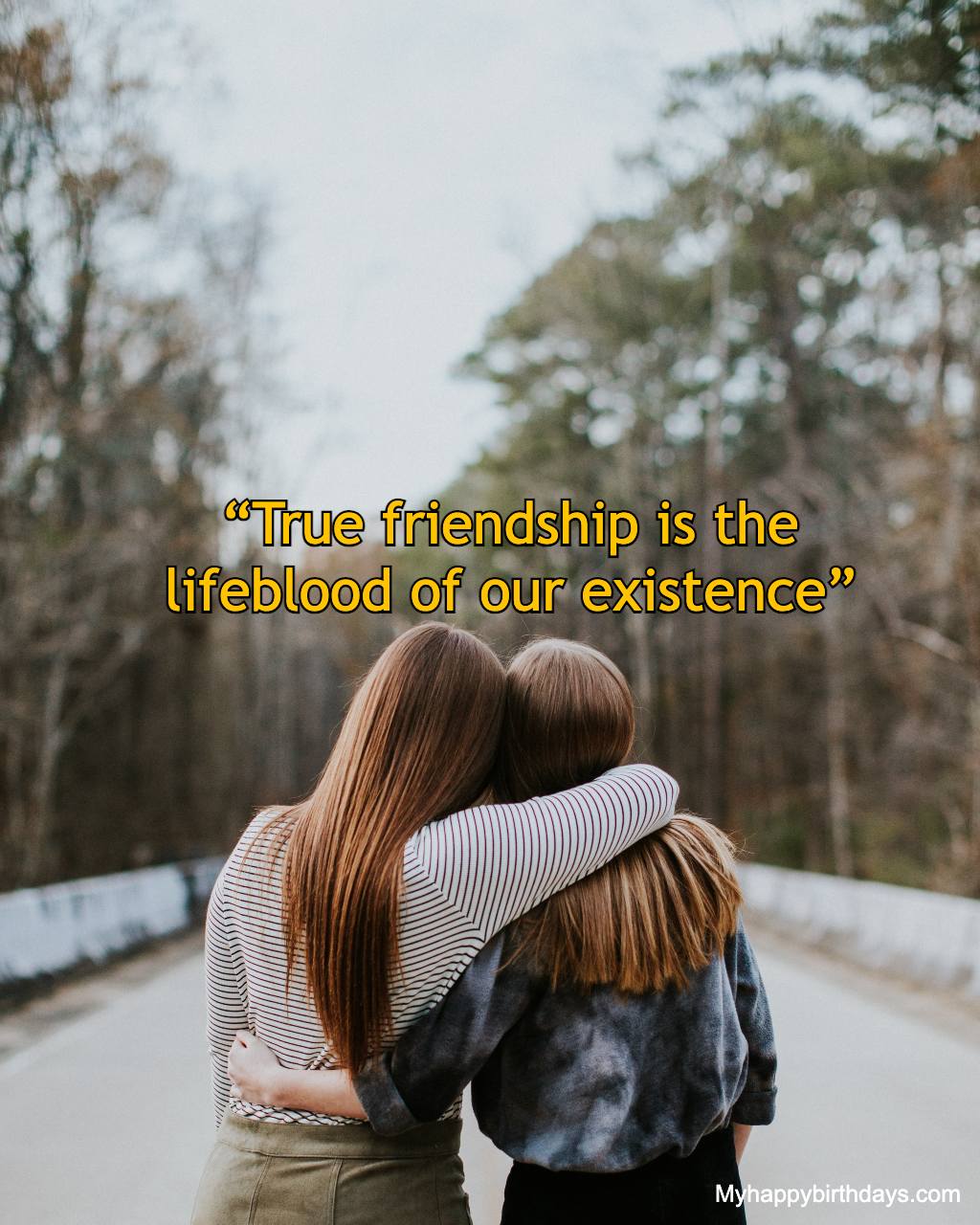 101 Heart Touching Friendship Quotes And Messages